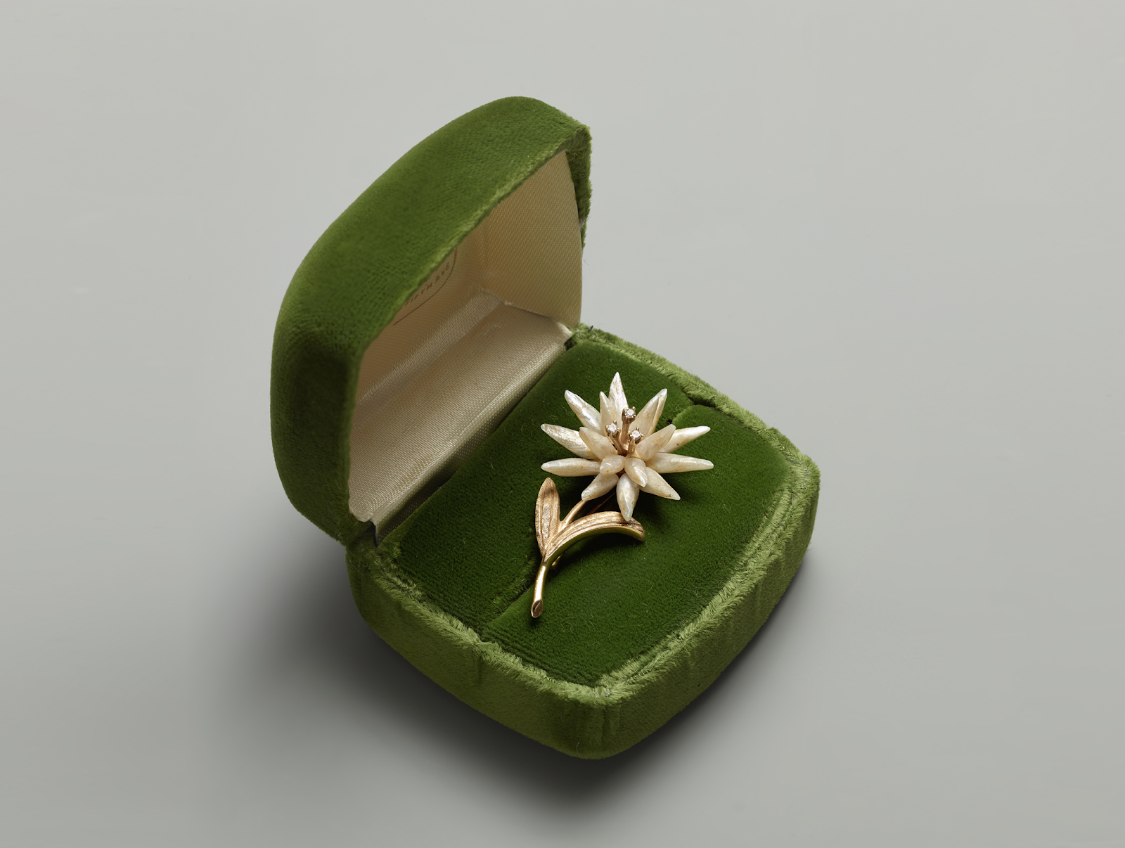 Hannah Arendt and the Twentieth Century - Jonathon Catlin - LiB